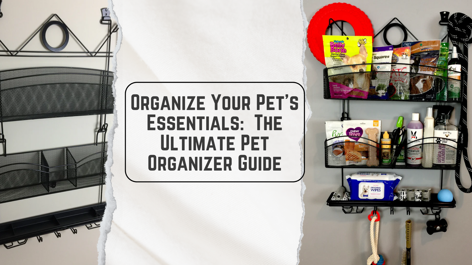 Organize Your Pet's Essentials: The Ultimate Pet Organizer Guide ...